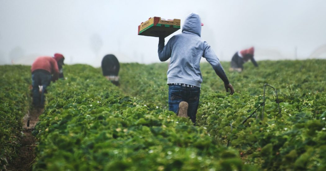 Pula, a Kenya-based Agri-Insurance Startup Raises $6m Series A Funding ...